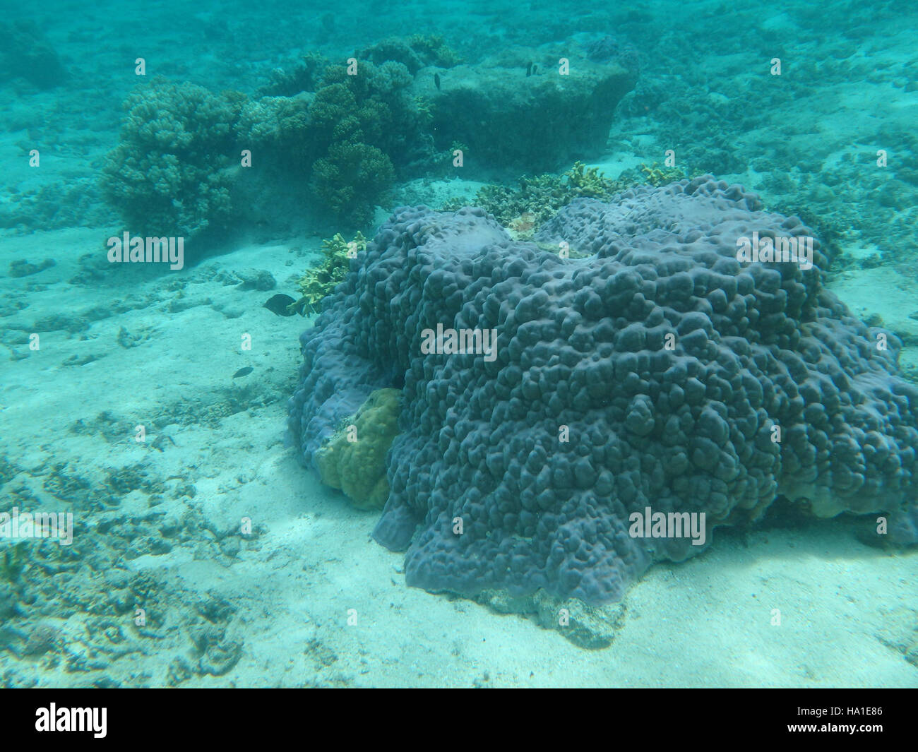 P4110079 represents an important historical artifact from the War in ...