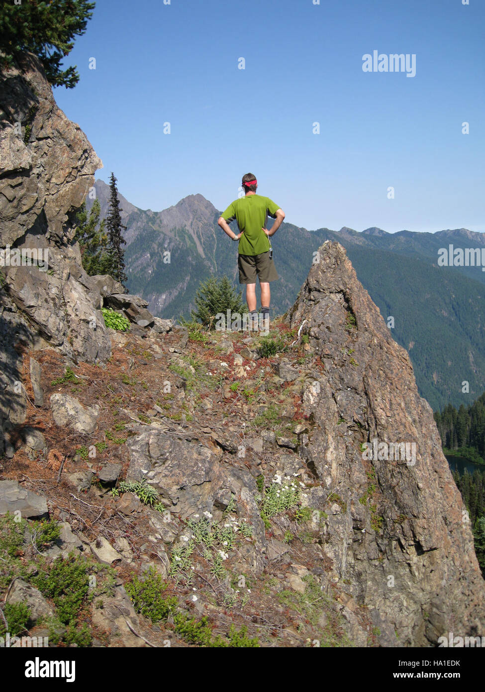 Hikers explore the subalpine zone of Olympic National Park ...