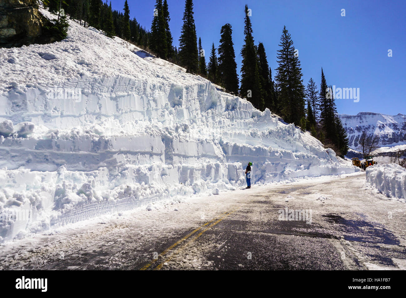 Grouse Point in Glacier National Park showcases stunning landscapes and ...