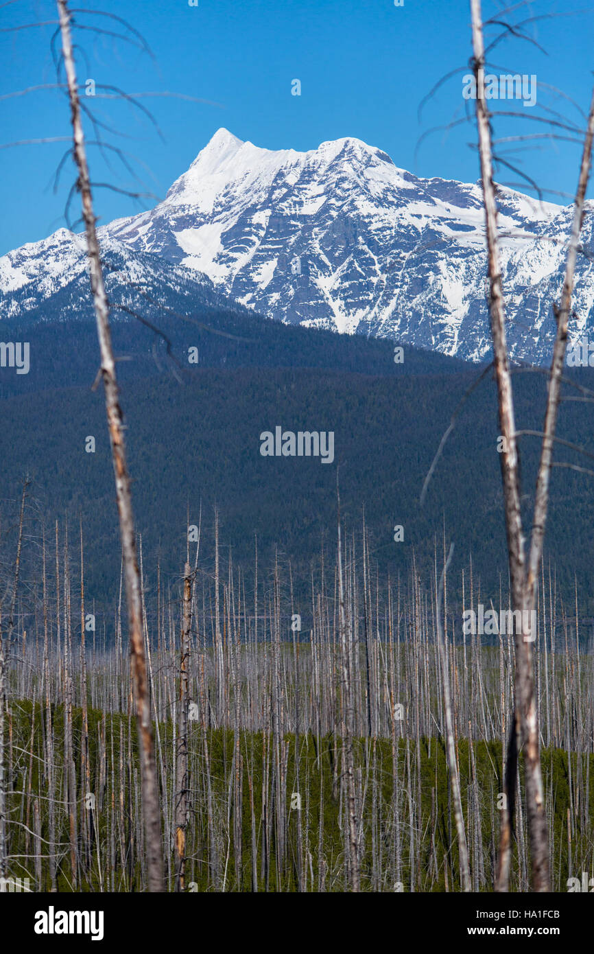 Mount Jackson in Glacier National Park is seen from Camas Road ...
