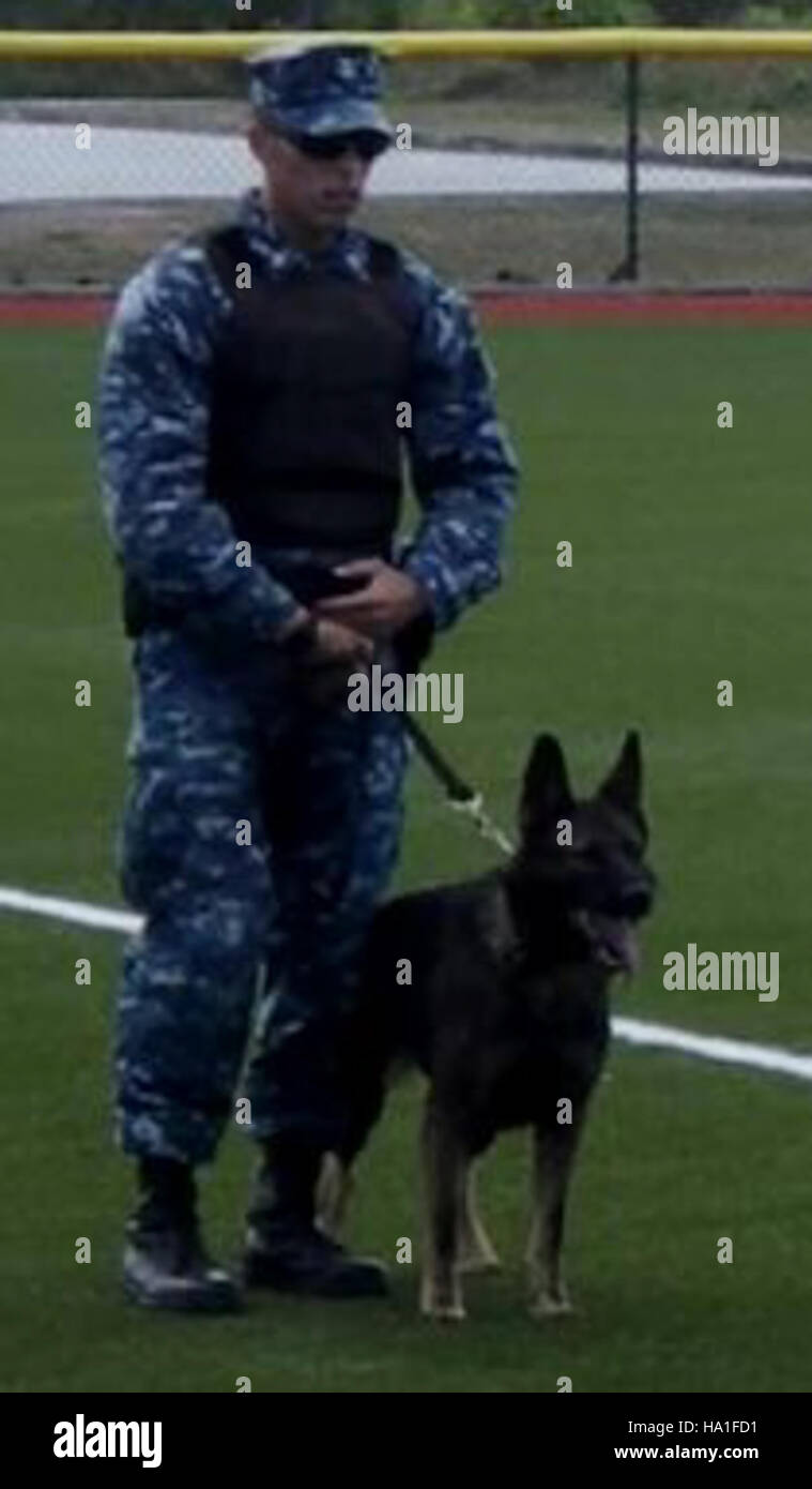 Special operations dogs hi-res stock photography and images - Alamy