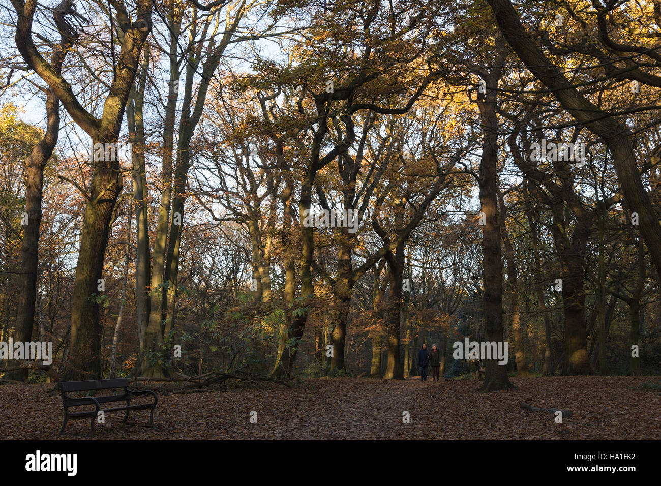 Londoners enjoy the warm autumn sunshine on a chilly afternoon in ...
