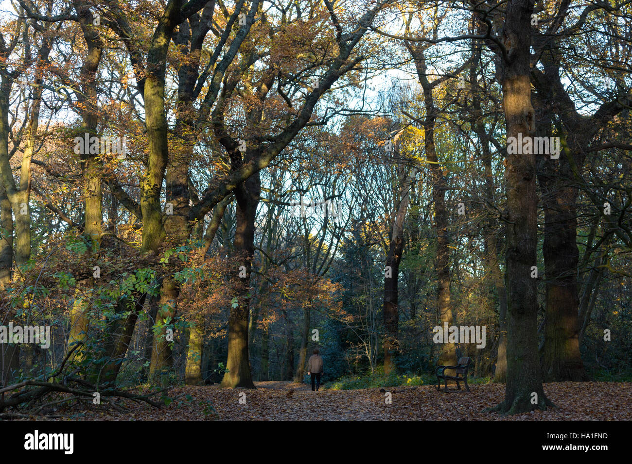 Londoners enjoy the warm autumn sunshine on a chilly afternoon in ...
