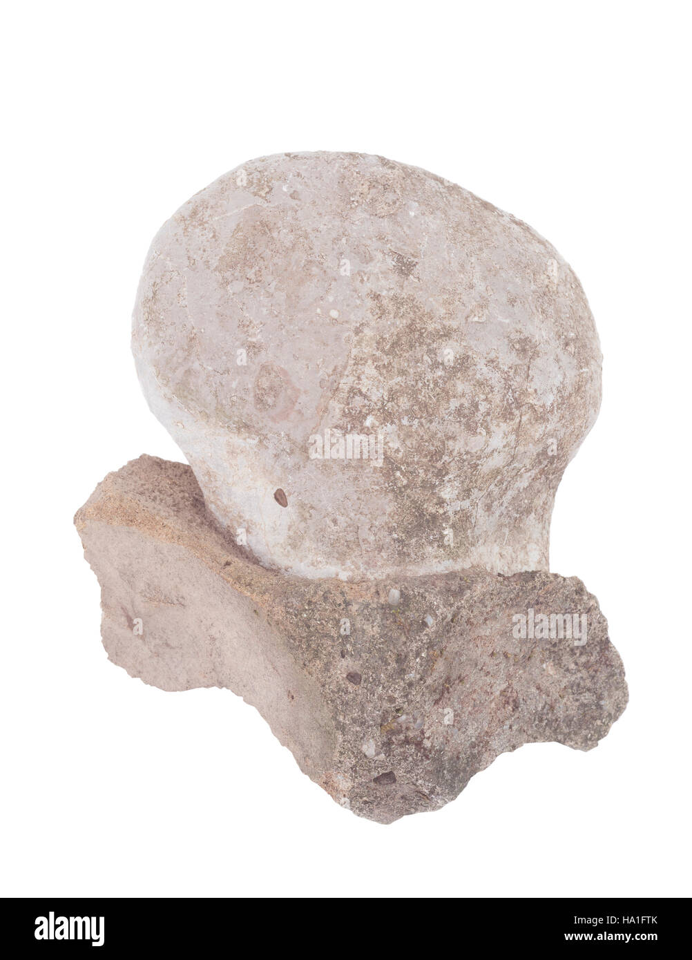 Sedimentary rock conglomerate Cut Out Stock Images & Pictures - Alamy