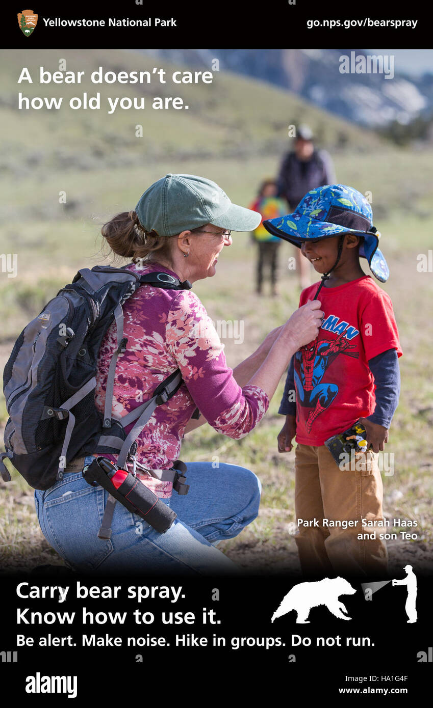 A reminder of the importance of wildlife safety in Yellowstone National ...
