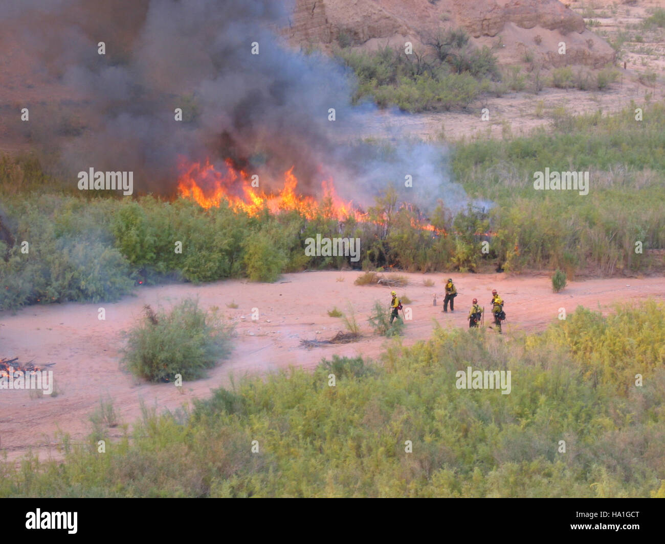 This image shows a controlled burn operation to manage tamarisk, an ...