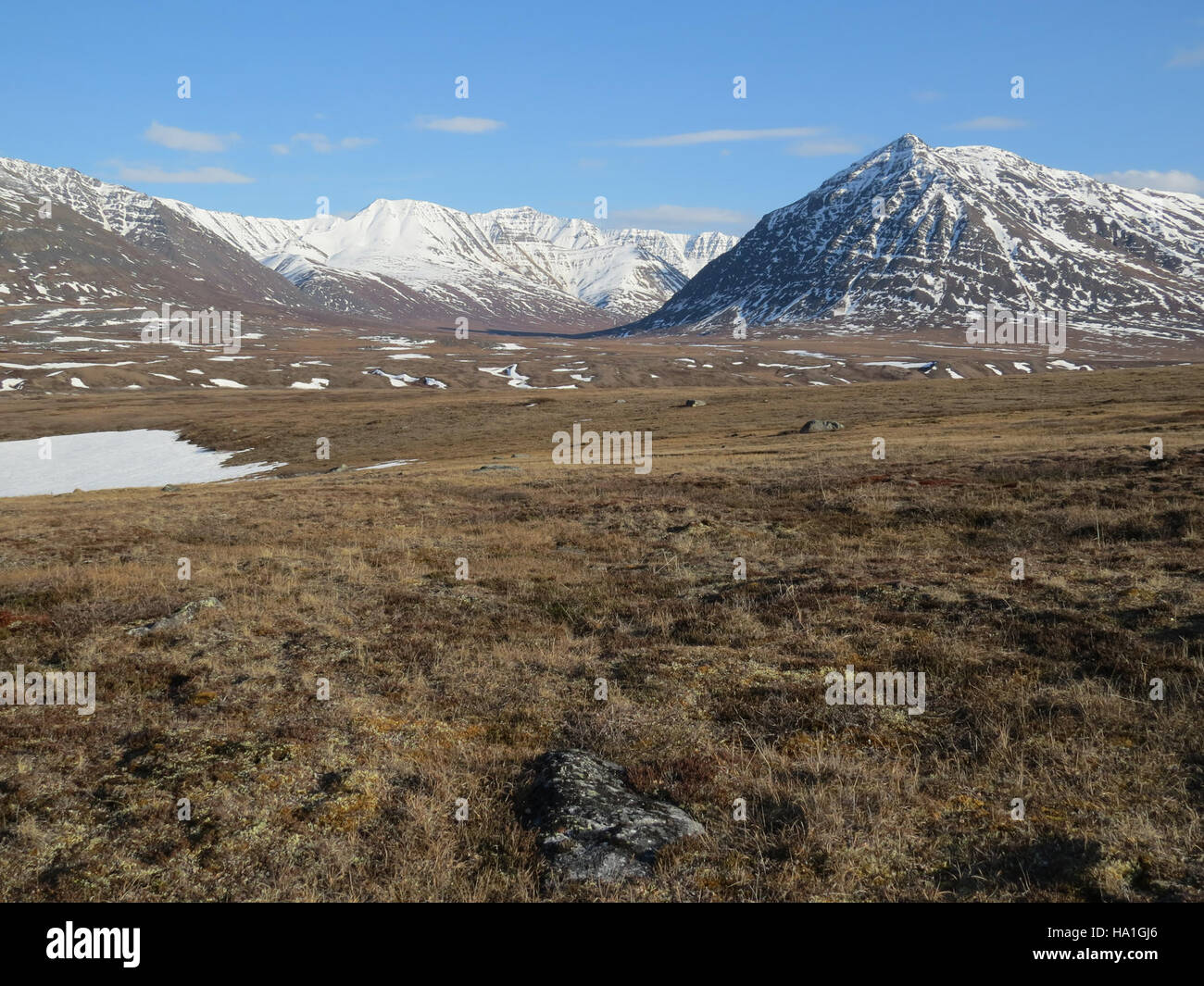 A stunning view from Alaska’s national park system, highlighting the ...
