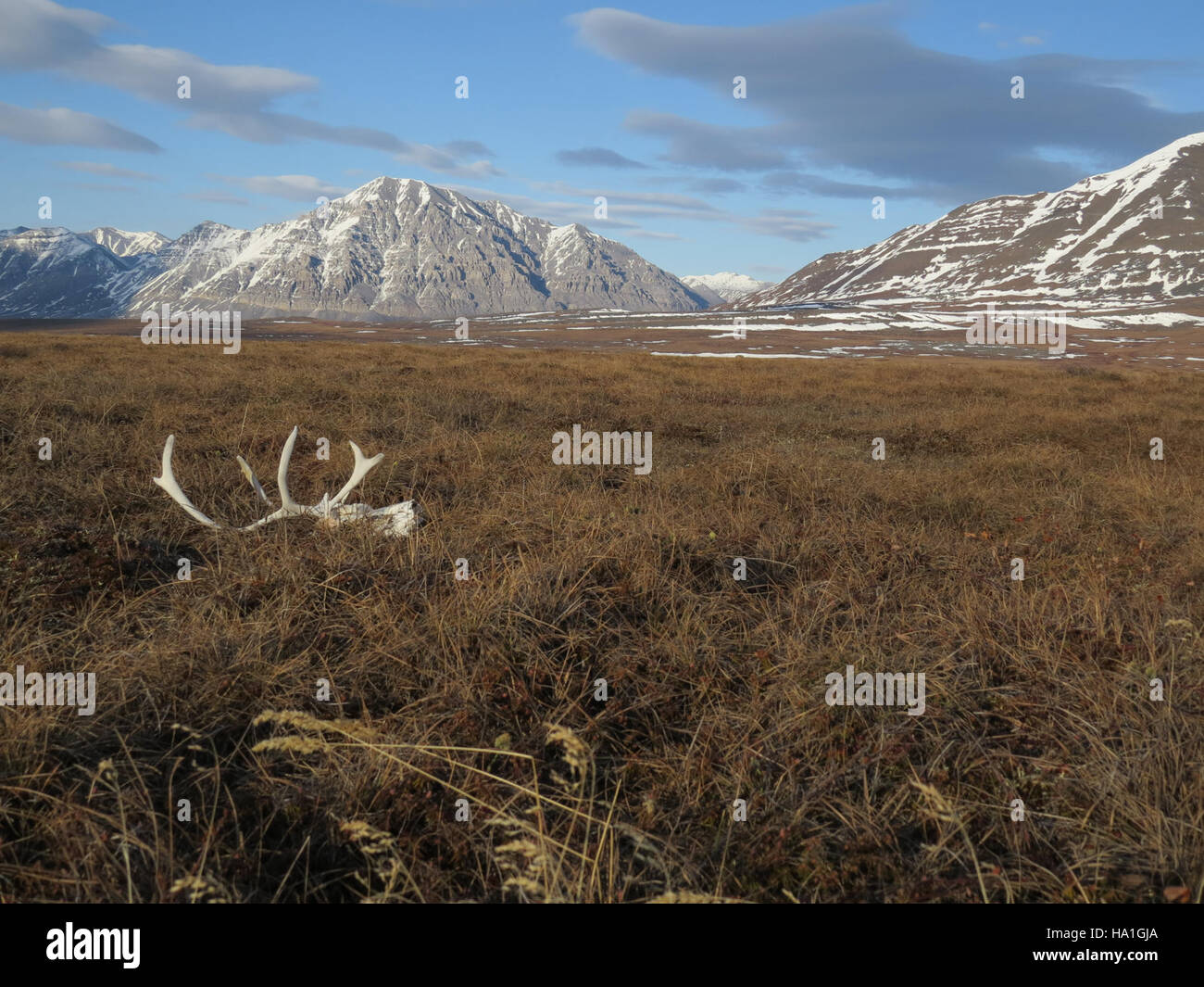 This image from Alaska showcases the breathtaking scenery of the ...