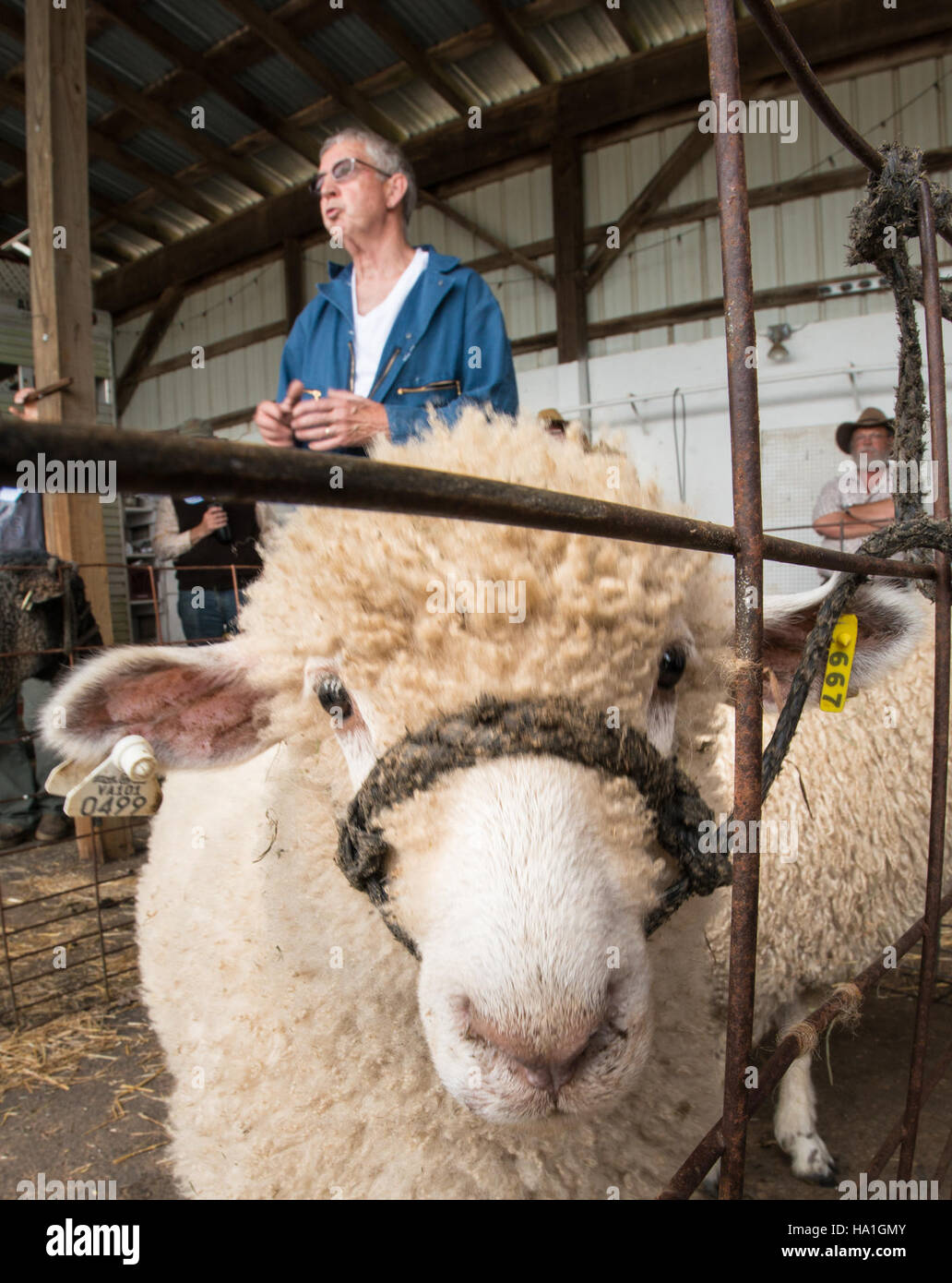 The USDA’s Outreach and Assistance Program for Socially Disadvantaged ...