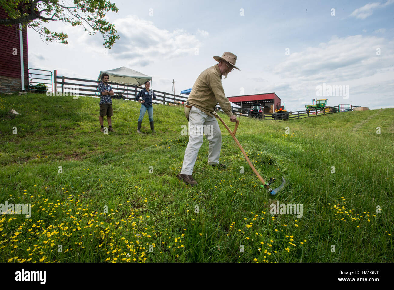 This image highlights the USDA's 2501 Program, providing outreach and ...