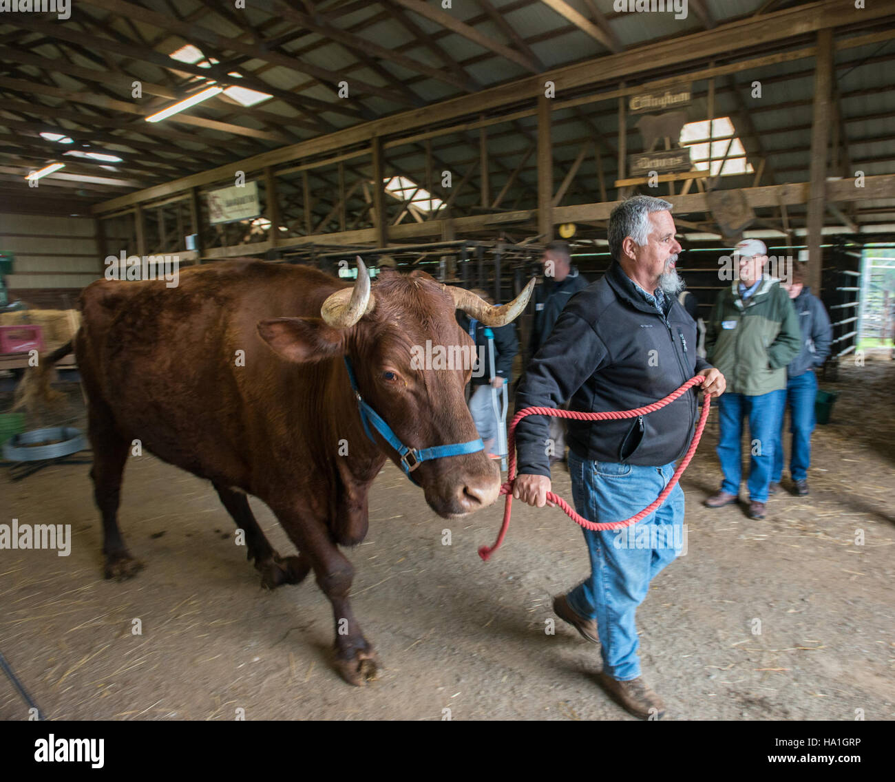 The USDA 2501 Program offers resources and support for socially ...