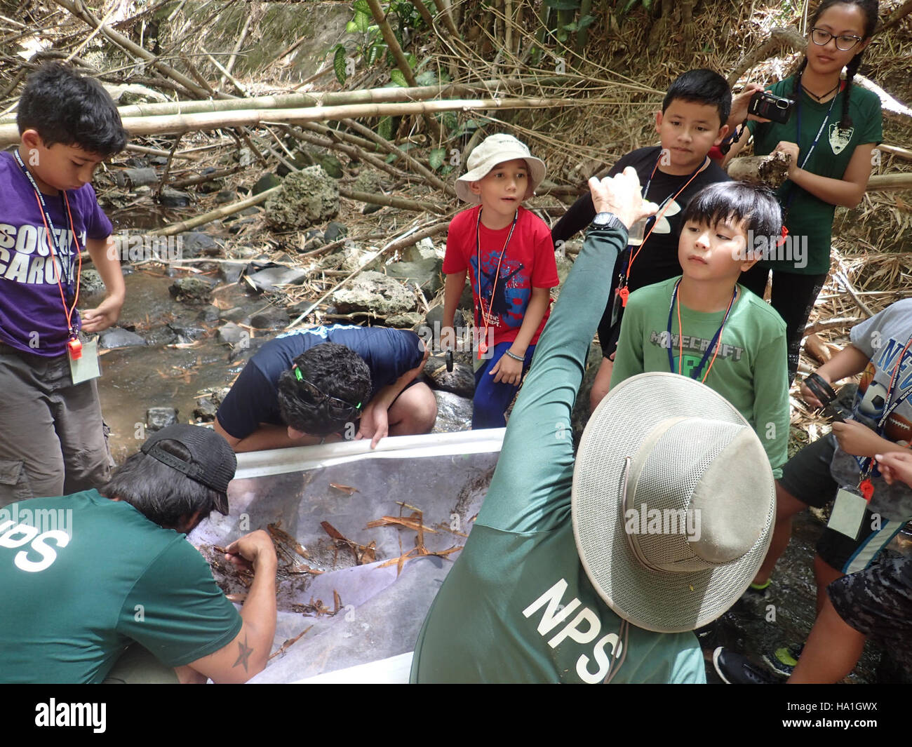 The image represents an historical context of the war in the Pacific ...