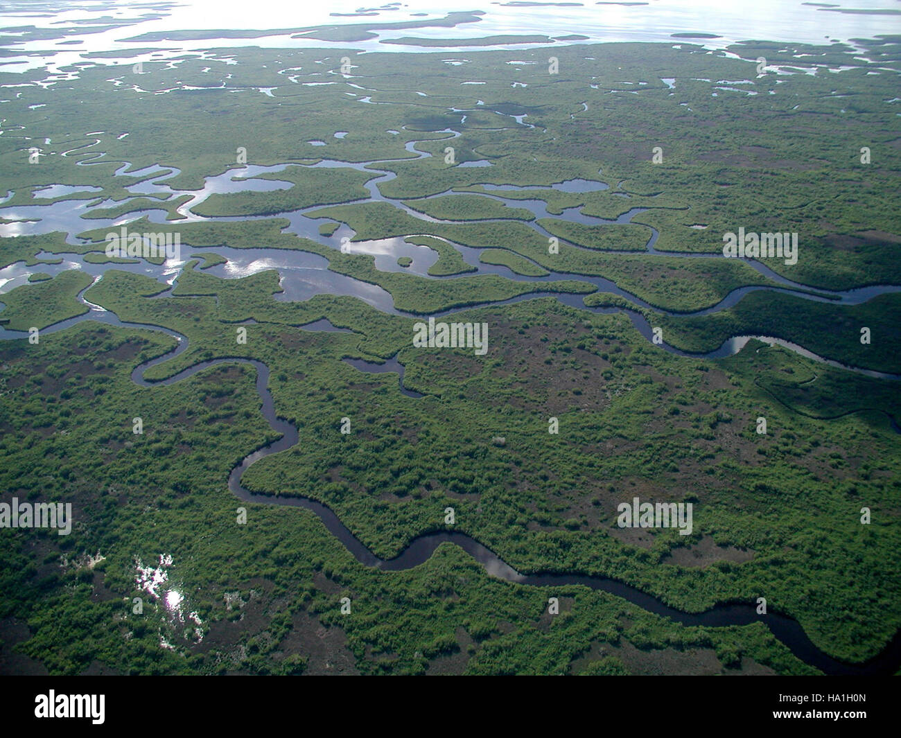 This image captures the remote beauty of the Everglades' backcountry ...