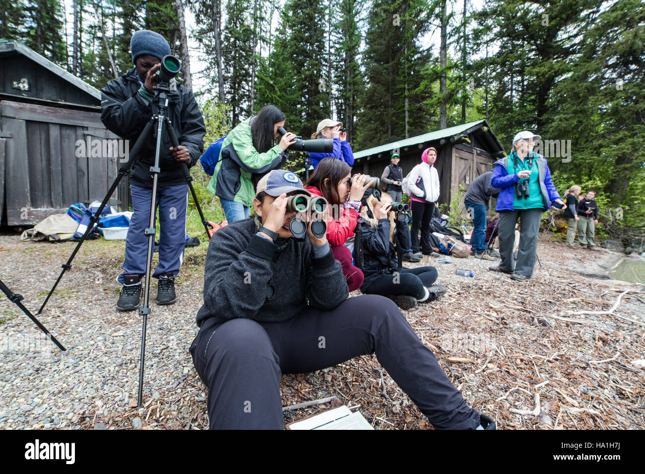 A BioBlitz group in Glacier National Park conducts a species inventory, documenting the park's ...