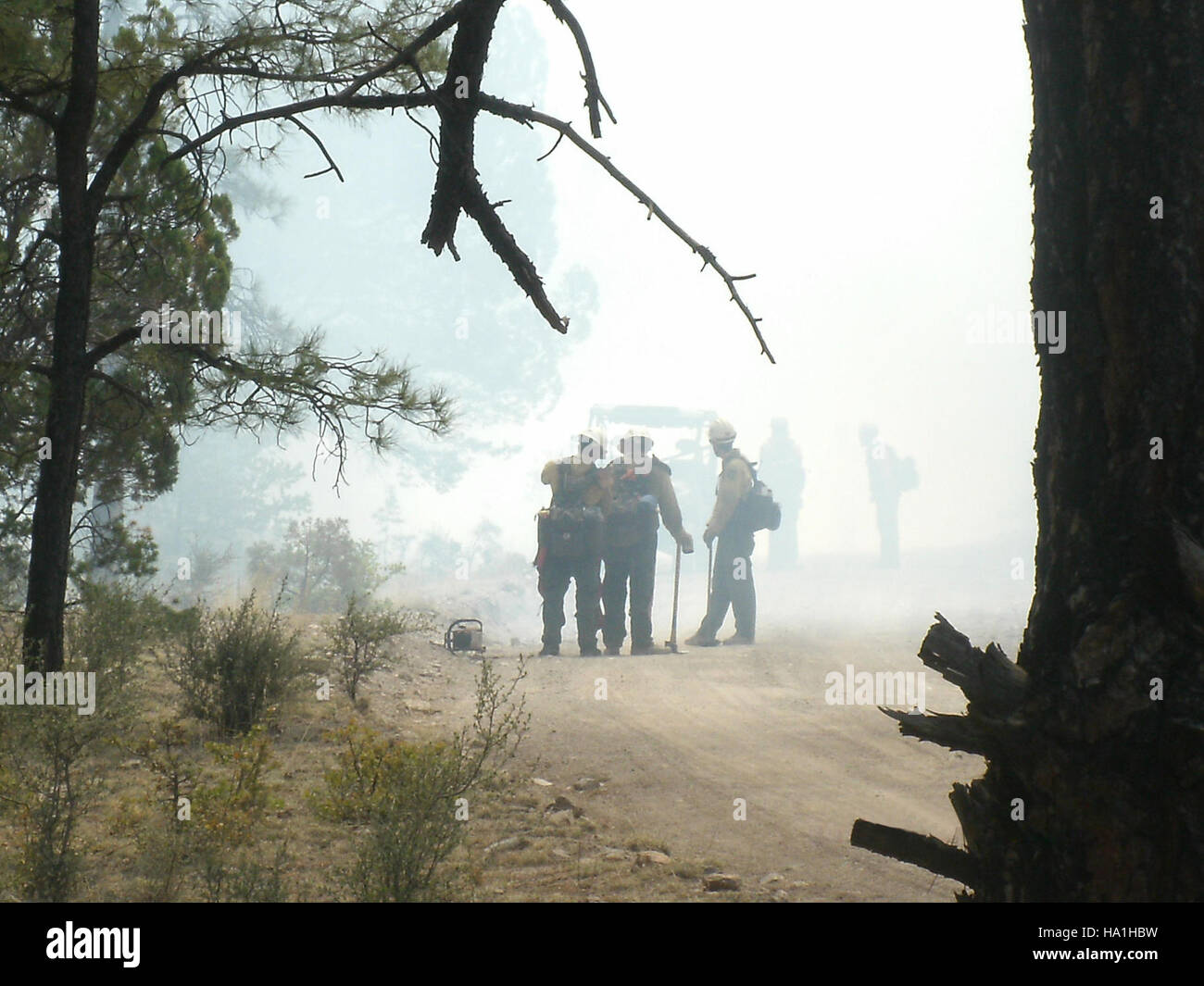 The North Fire, a wildfire within the Cibola National Forest, is part ...