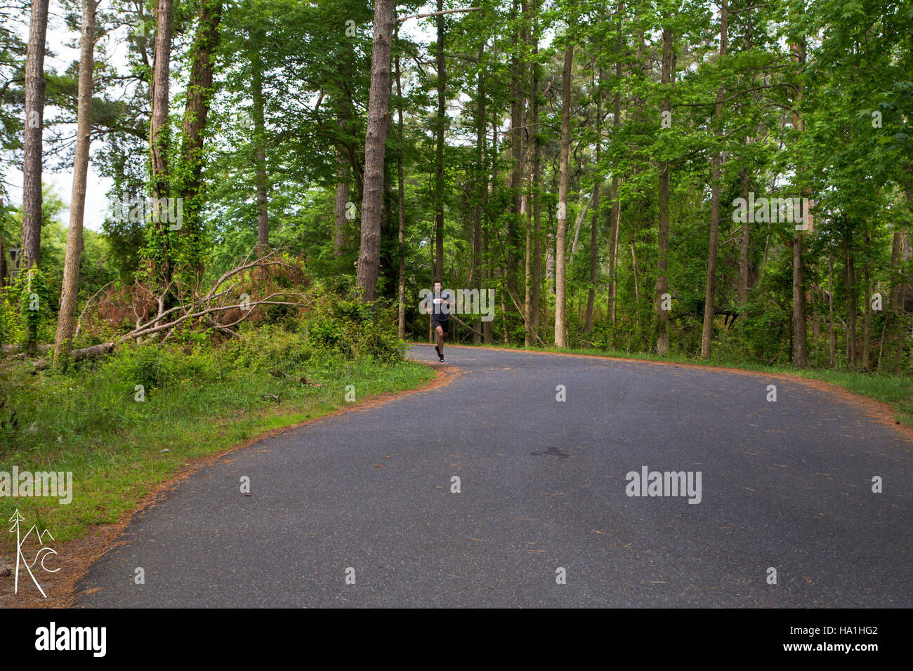 The image captures participants in the 5K Centennial Run at Assateague ...
