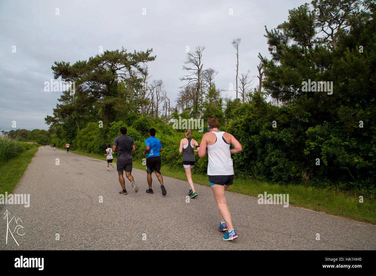 assateaguenps 27290406660 5K Centennial Run Stock Photo - Alamy