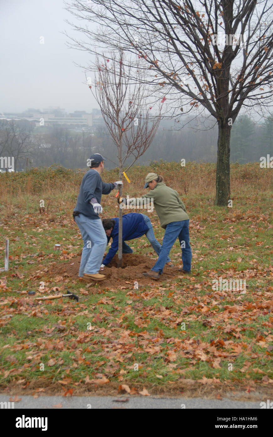 This photo from Valley Forge National Park in 2008 shows a tree ...