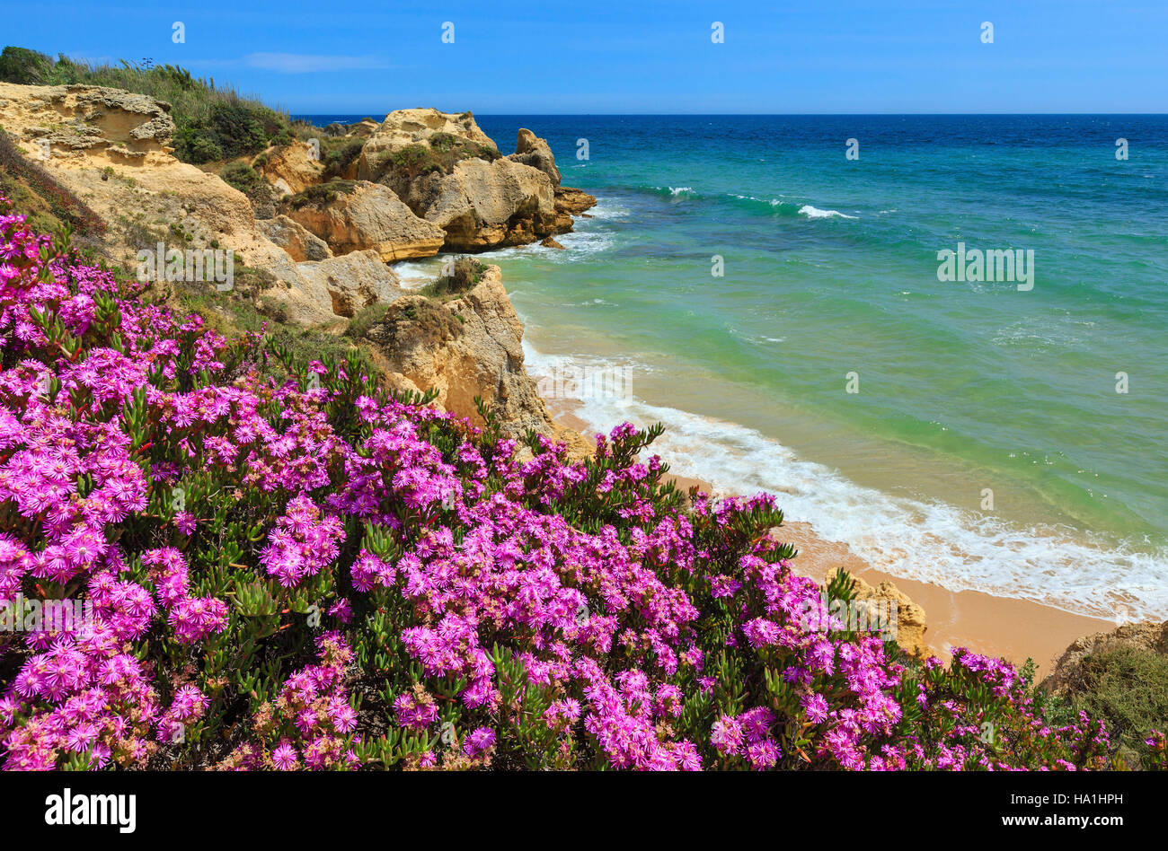 Algarve beach portugal flowers hi-res stock photography and images - Alamy