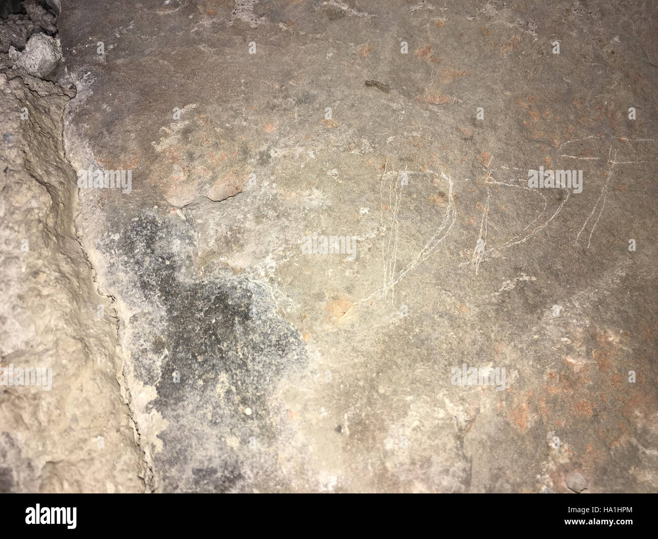 Vandalism inside the Roosevelt Arch at Yellowstone National Park ...