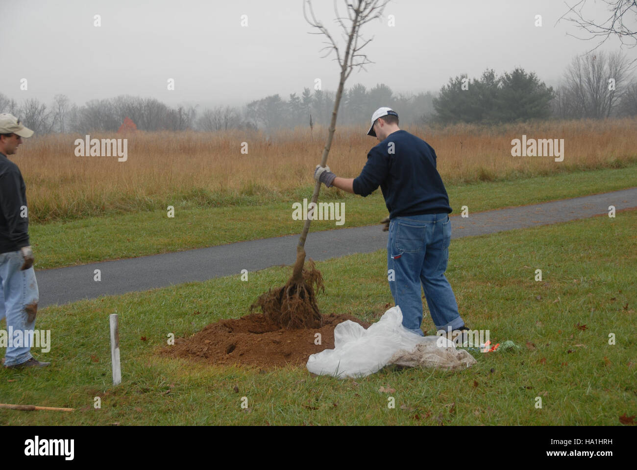 In 2008, Valley Forge National Historical Park launched a tree planting ...