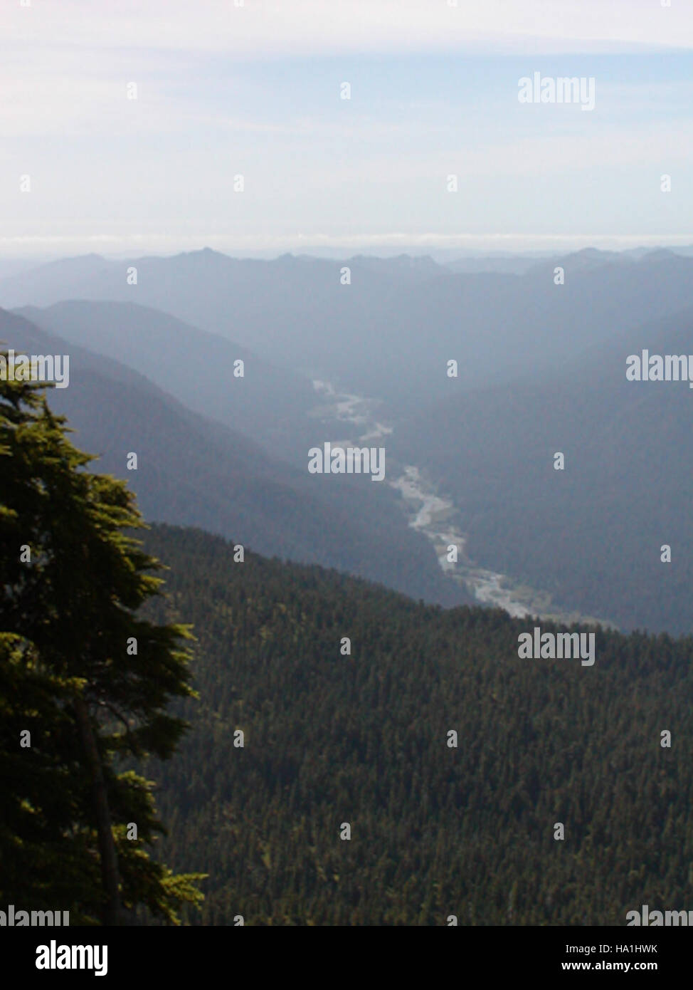 The Queets River, visible from the Skyline Trail in Olympic National ...