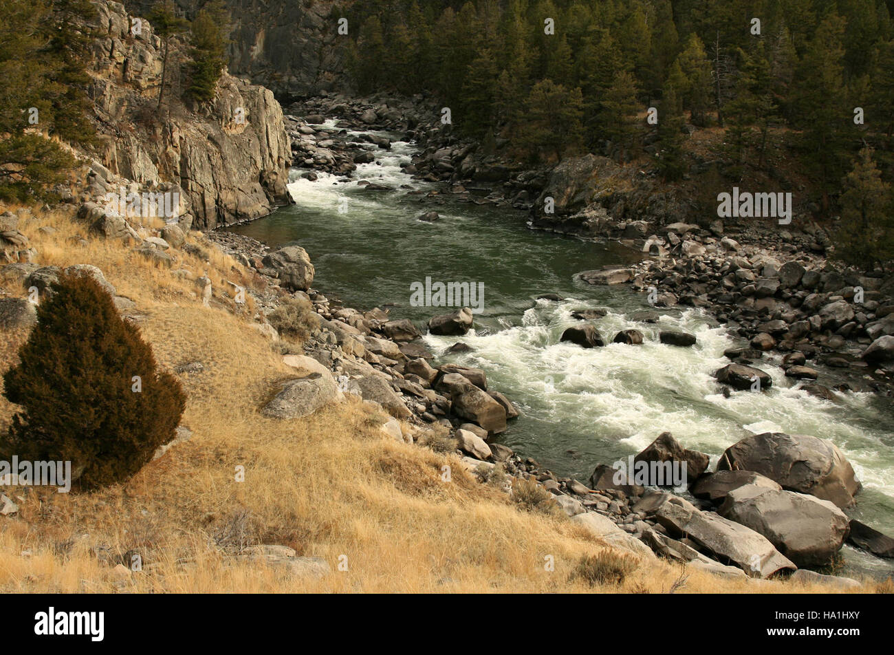 Yellowstone River, located in Yellowstone National Park, known for its ...