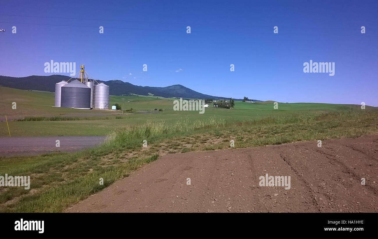 Germplasm hi-res stock photography and images - Alamy