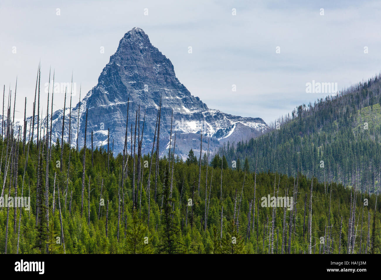 Mount Saint Nicholas in Glacier National Park offers stunning views of ...