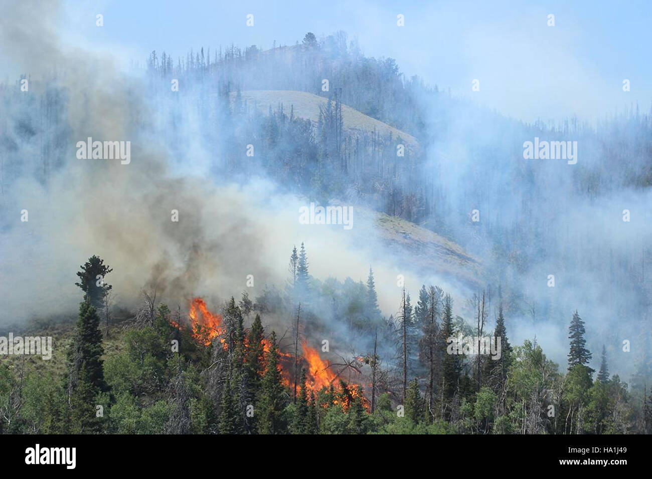 The Colorado Fire wildfire, a significant natural event, was managed by ...