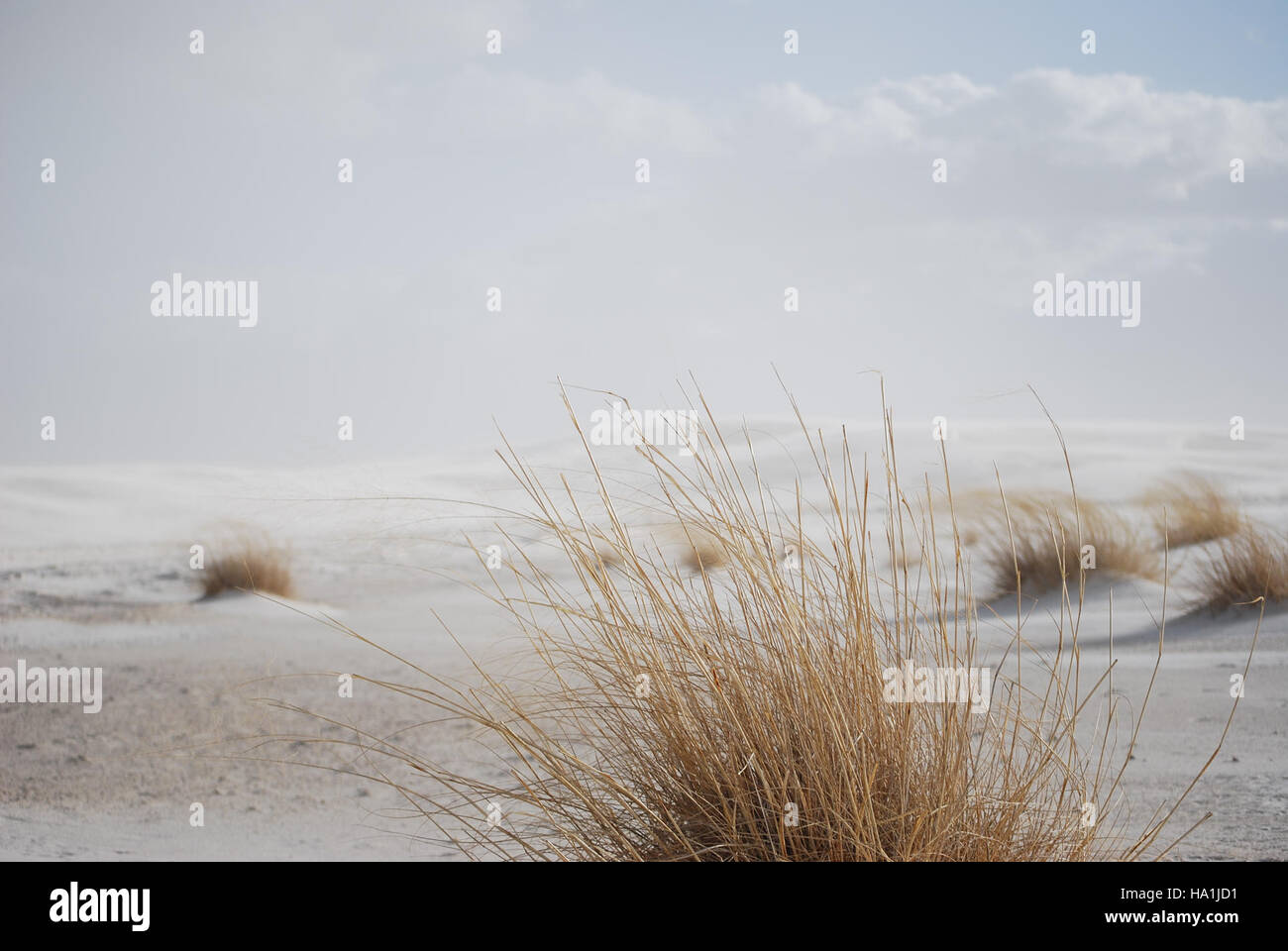 March winds hi-res stock photography and images - Alamy
