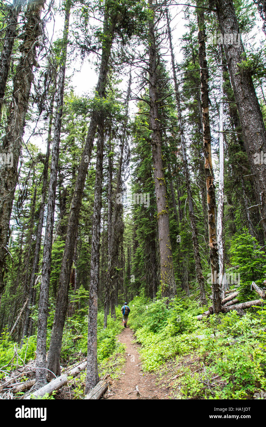The Quartz Lake Trail over Cerulean Ridge in Glacier National Park ...