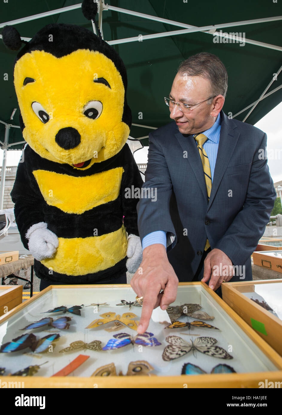 This image highlights USDA’s Pollinator Week, focusing on the critical ...