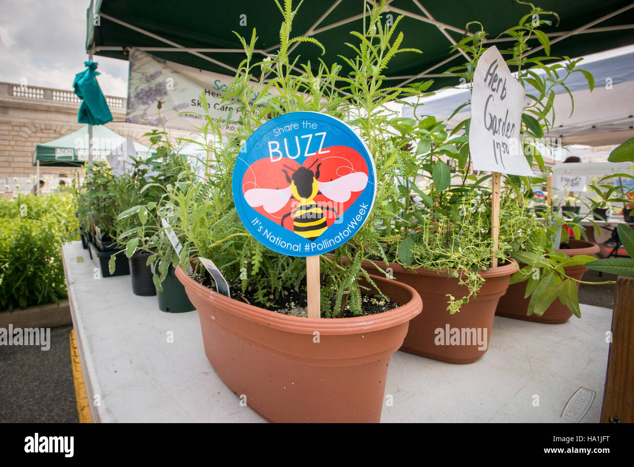 The USDA’s National Pollinator Week Festival highlights pollinators ...
