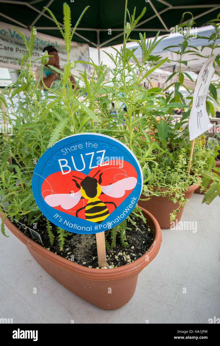 The USDA celebrates National Pollinator Week with a festival featuring ...
