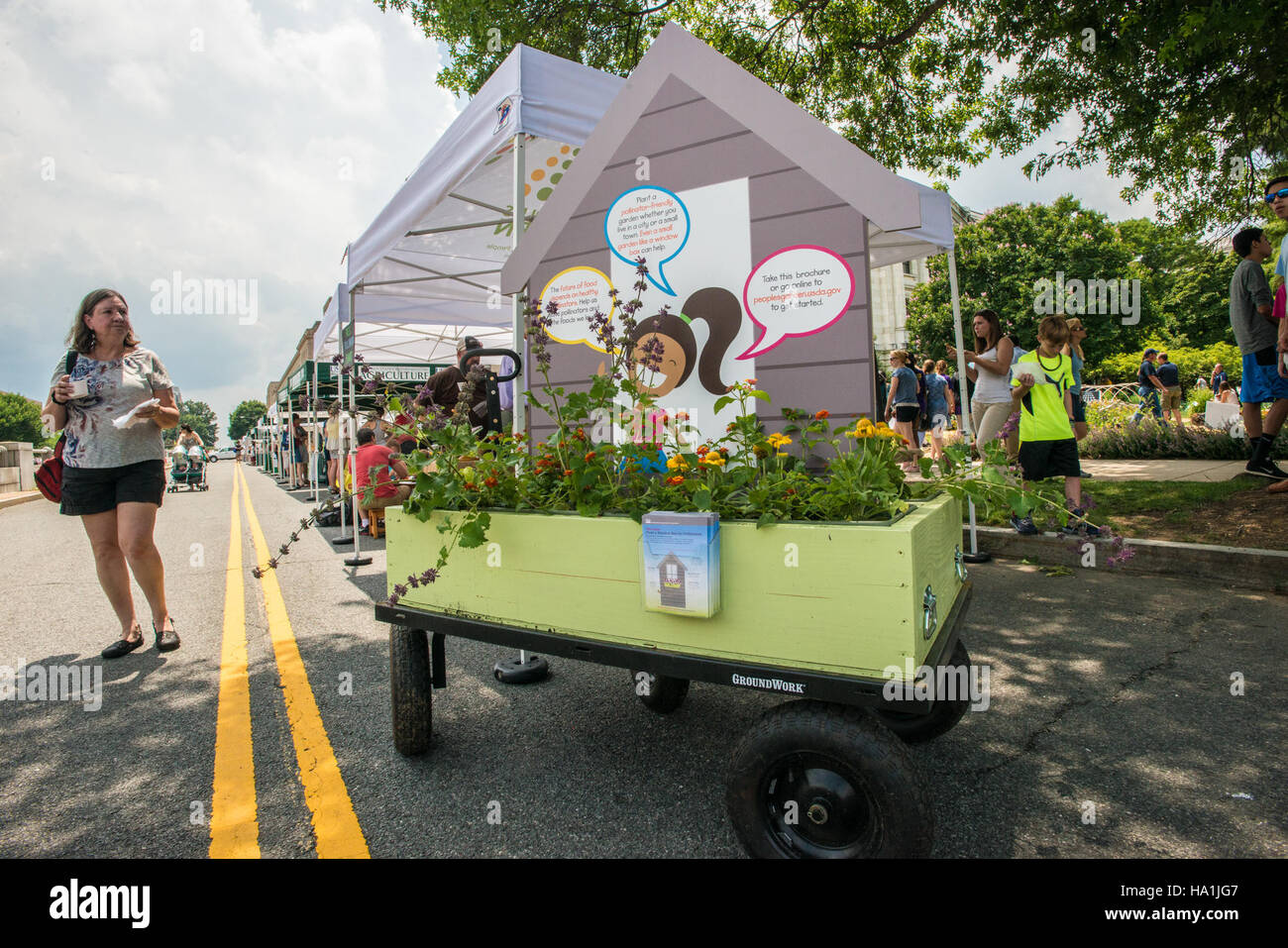 The USDA celebrates Pollinator Week, recognizing the essential role of ...