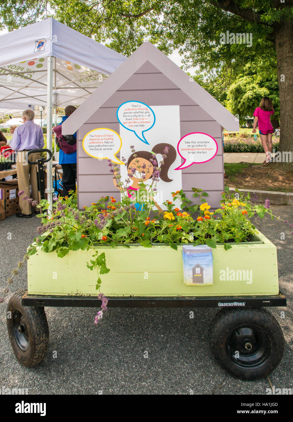 The USDA's Pollinator Week Festival celebrates pollinators like bees ...