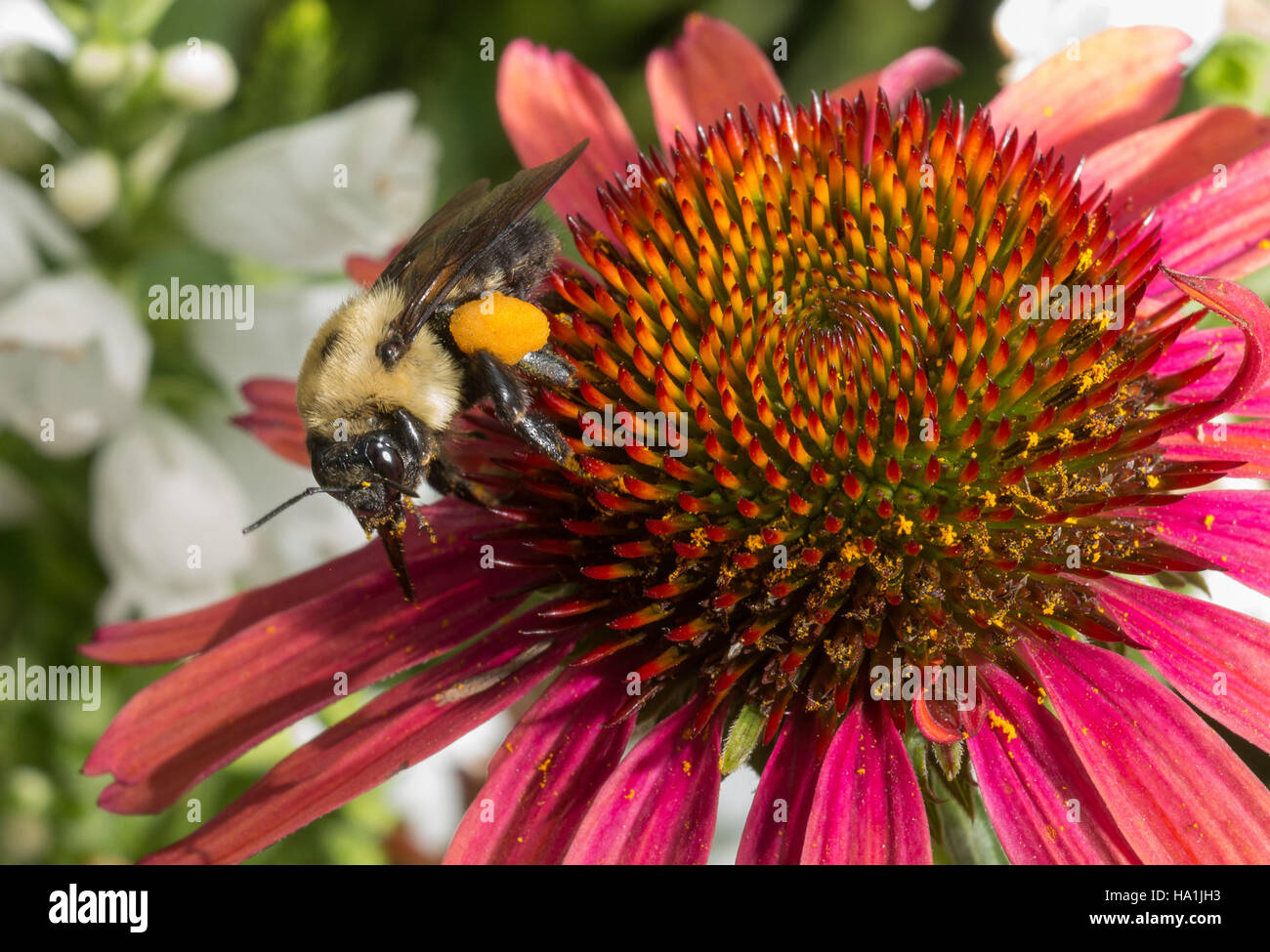 The U.S. Department of Agriculture highlights the importance of ...