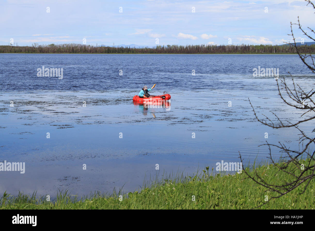 The Denali National Park and Preserve in Alaska showcases stunning ...