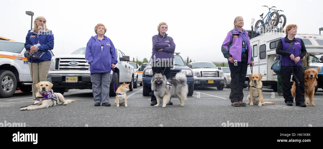 Canines are used in Alaska to detect and help manage wildfires ...