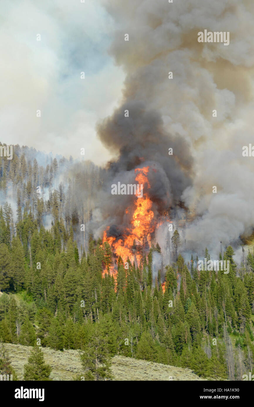 A wildfire in Wyoming was managed by federal agencies to protect ...