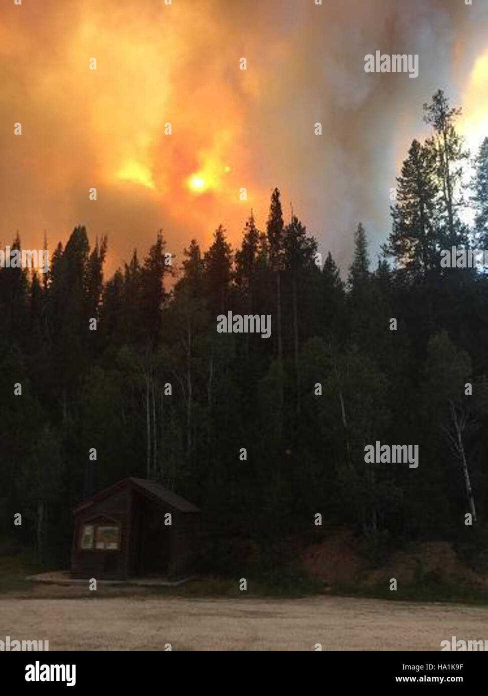 A wildfire in an unspecified U.S. location, managed by the USDA Forest ...