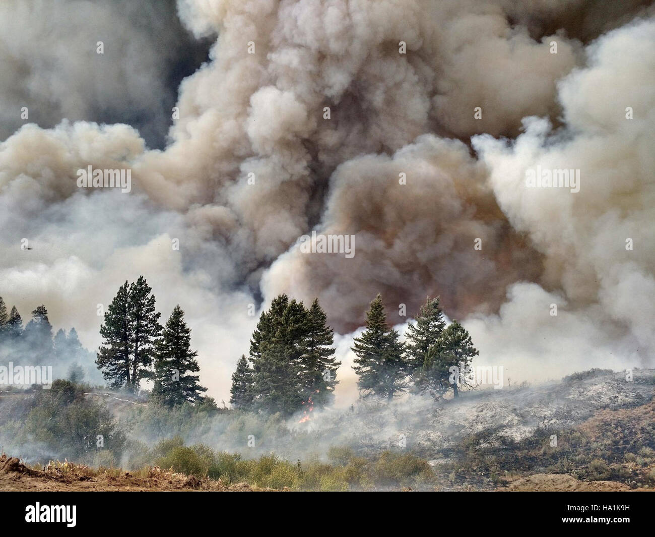 This image shows a wildfire being managed by the USDA, highlighting ...