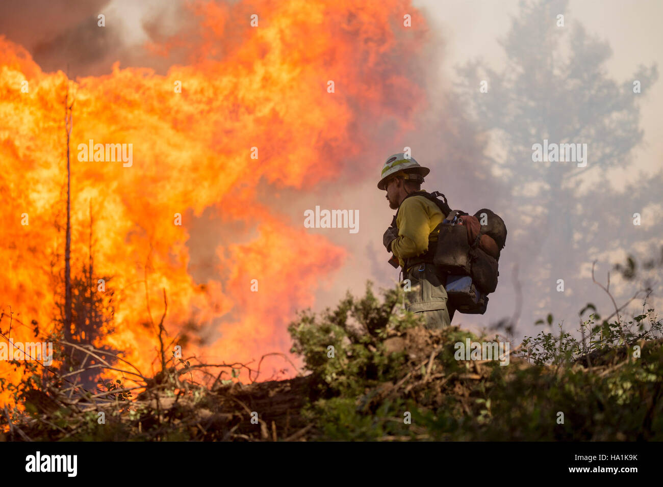 A firefighter responding to a wildfire, illustrating the efforts to ...
