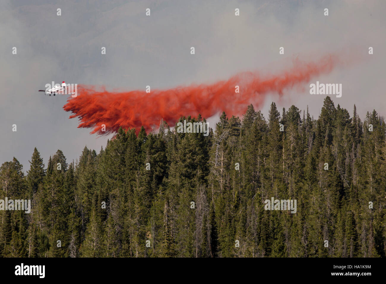 A wildfire is depicted in this image, highlighting the devastation ...