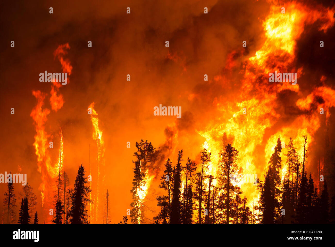 A wildfire event monitored by the U.S. Department of Agriculture. This ...