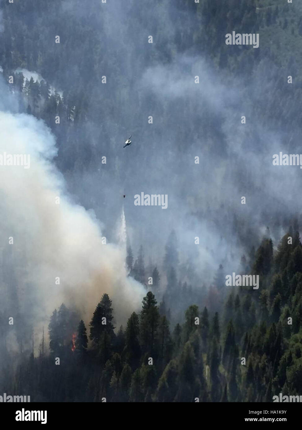 The USDA responds to wildfire events, implementing strategies for ...