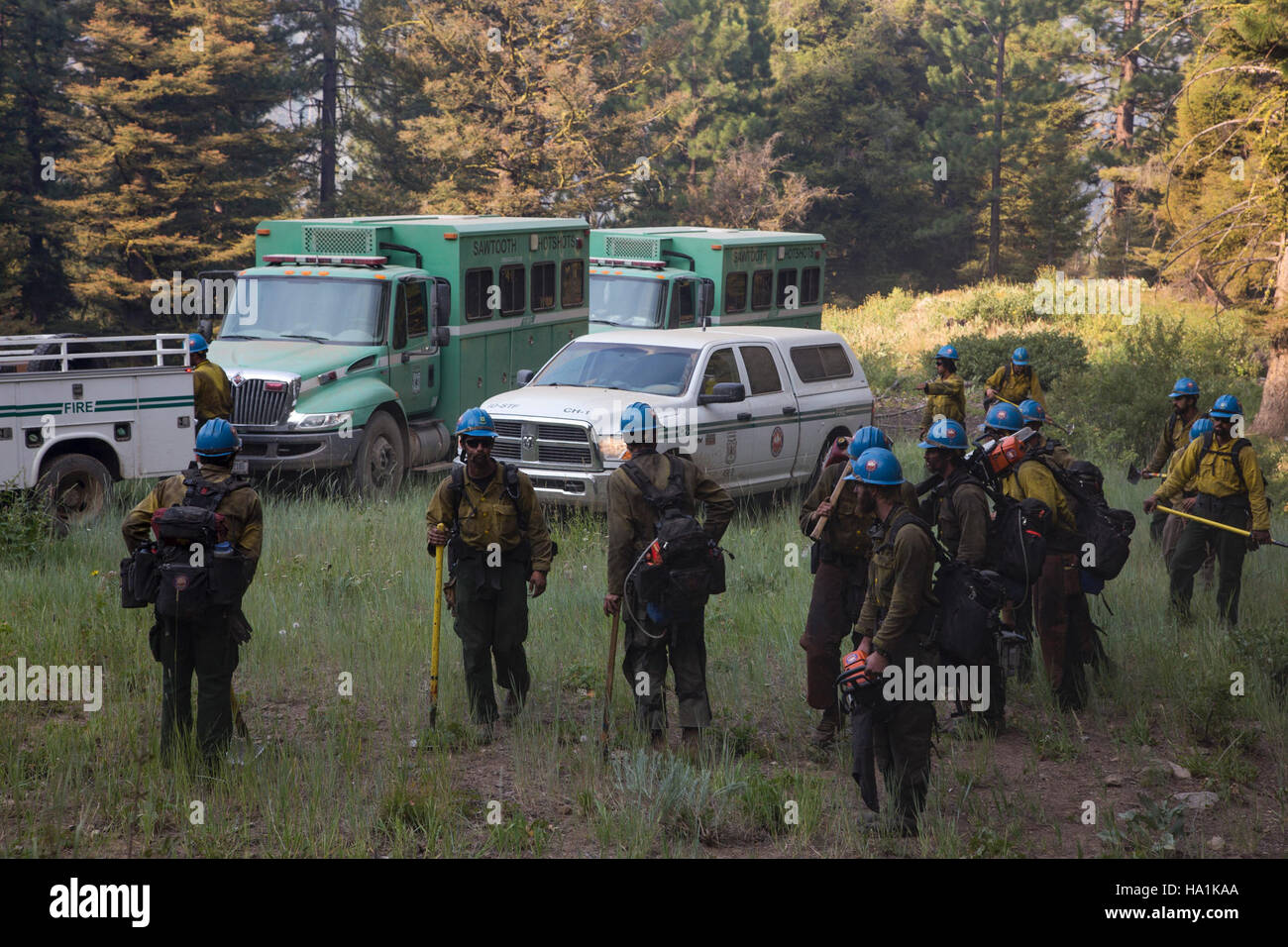 A photo from a wildfire incident, showcasing the natural landscape ...