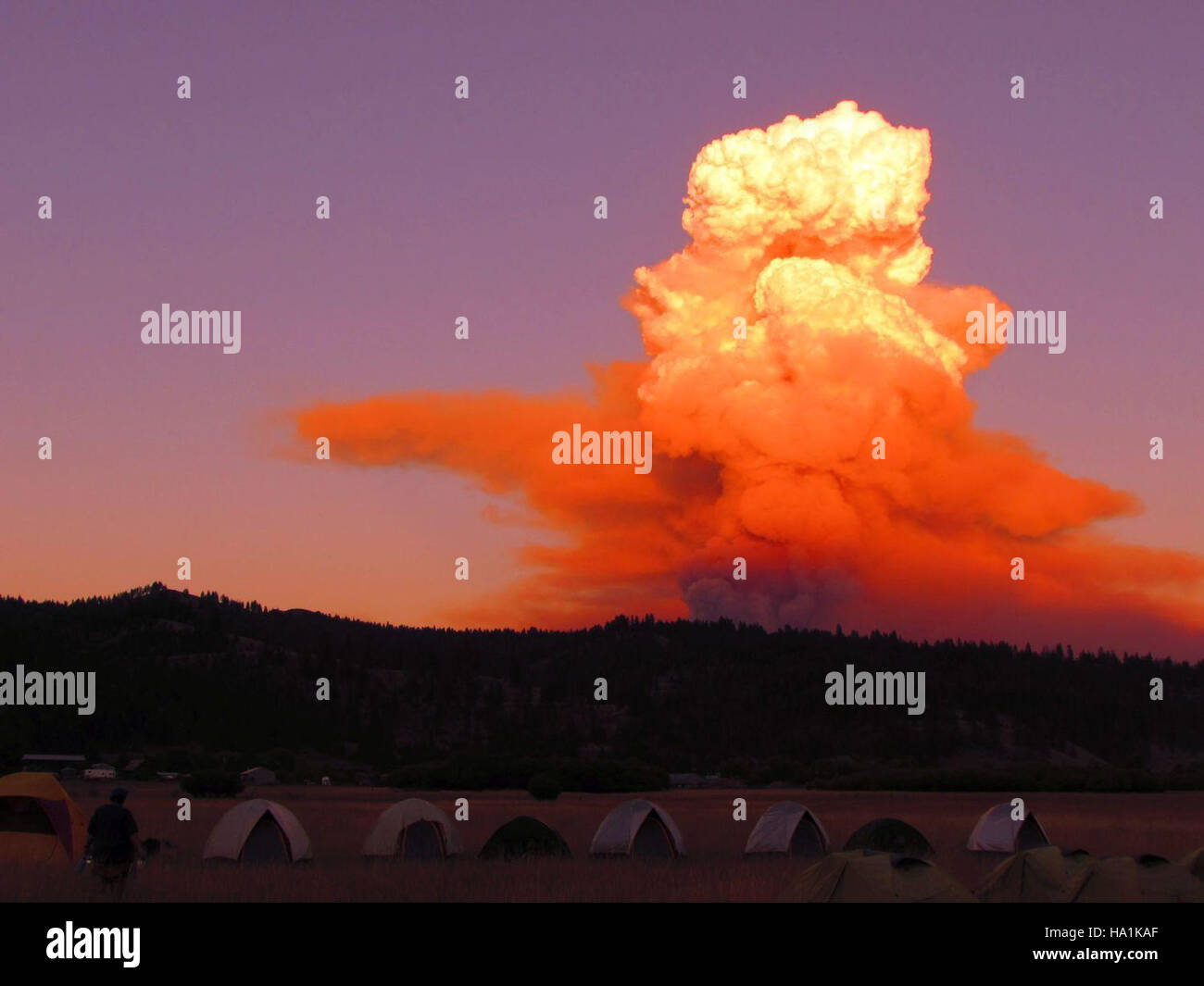 This image highlights the impact of a wildfire, focusing on fire ...