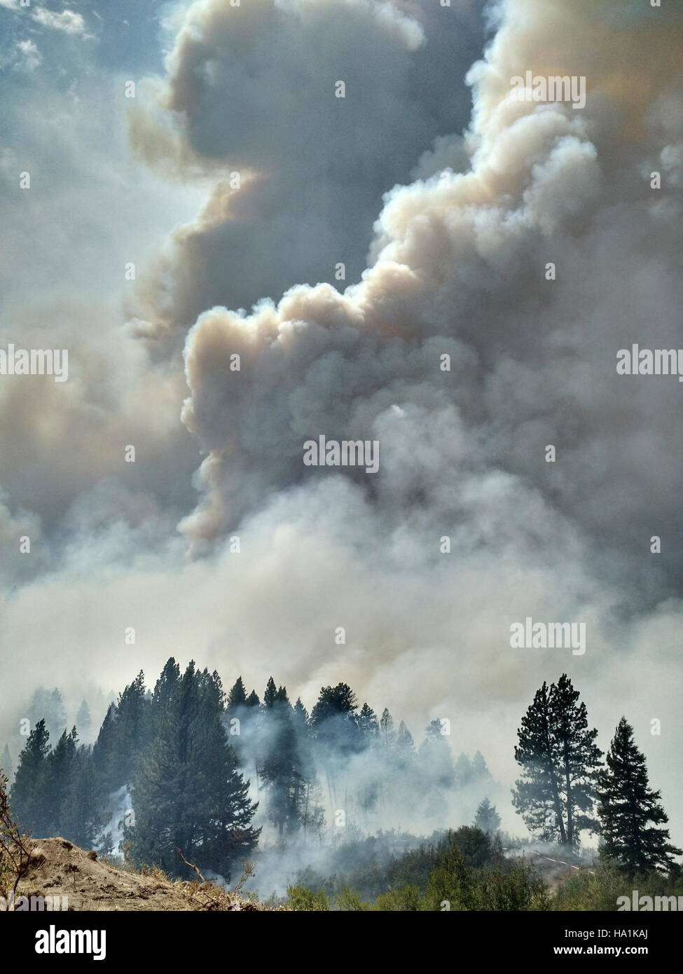 This image captures the destructive impact of wildfire, underscoring ...